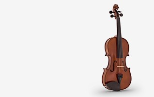 Orkestinstrumenten | Houtblaas-, snaar- & koperblaasinstrumenten bij ...